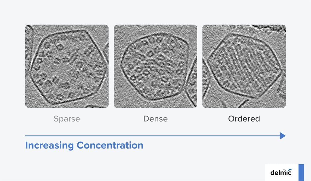 Rubisco assembly: the promise of cryo-ET for synthetic biologists